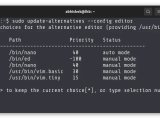 How To Install Vim On Ubuntu And Make It Default Editor
