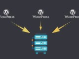 How To Self Host Multiple Wordpress Sites On The Same Server With Docker