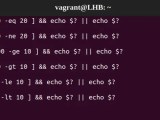 Using Test Command In Bash Scripts