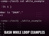 Shell Script For Loops How To Use For Loop In Range And 54 Off