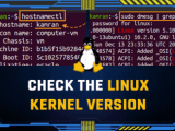 How To Check Linux Kernel Version Bitgros