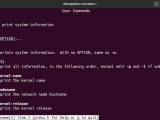 Linux Console Command Version Posetke