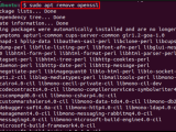 Top 59 Install Openssl In Ubuntu Update