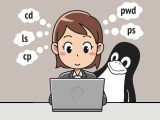 20 Basic Linux Commands For Beginners Explained With Examples