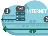 What Is A Web Server And How Does A Web Server Work