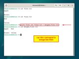 How To Use Linux Paste Command 4 Best Uses