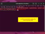 3 Best Methods To Replace A Substring With Another String In Bash