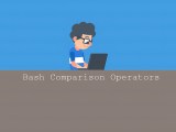Bash Comparison Operators Linuxize