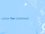 Linux Tee Command With Examples Linuxize