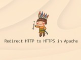 Redirect Http To Https In Apache Linuxize