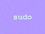 Sudo Command In Linux Linuxize