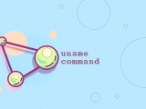 Uname Command In Linux Linuxize