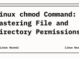 Linux Chmod Command Mastering File And Directory Permissions Linux