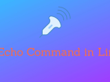 Echo Command In Linux Explained With Examples