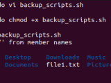 How To Make Bash Script Executable Using Chmod