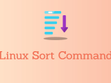 Sort Command In Linux Explained With Examples
