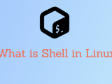 What Is Shell In Linux