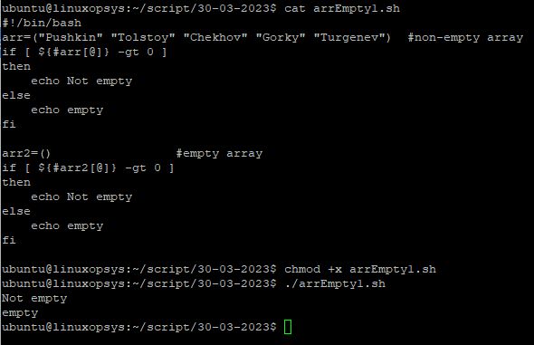 Bash Check Empty Array