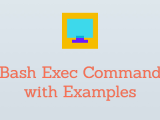 Bash Exec Command With Examples