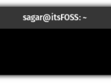 Kill Command Examples Linux Punx