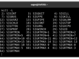 Kill Command Examples Linux Punx