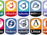 Which Are The Five Best Linux Distros Linux Scripts Hub