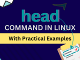 The Head Command In Linux 7 Practical Examples Linuxsimply