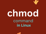 The Chmod Command In Linux 6 Practical Examples