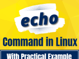 The Echo Command In Linux 7 Practical Examples