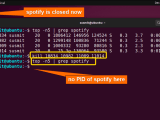 The Kill Command In Linux 4 Practical Examples