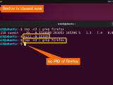 The Kill Command In Linux 4 Practical Examples