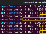 The Touch Command In Linux 8 Practical Examples
