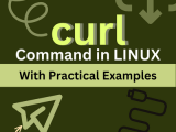 The Curl Command In Linux 9 Practical Examples Linuxsimply