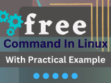 The Free Command In Linux 8 Practical Examples Linuxsimply
