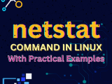 The Netstat Command In Linux 22 Practical Examples