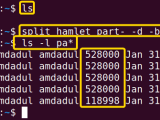 The Split Command In Linux 6 Practical Examples Linuxsimply