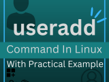 The Useradd Command In Linux 12 Practical Examples