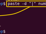 The Paste Command In Linux 6 Practical Examples