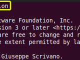 The Sync Command In Linux 8 Practical Examples