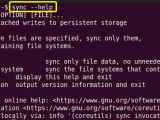 The Sync Command In Linux 8 Practical Examples
