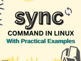The Sync Command In Linux 8 Practical Examples