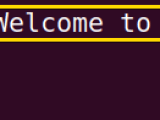 The Tr Command In Linux 6 Practical Examples Linuxsimply