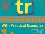 The Tr Command In Linux 6 Practical Examples Linuxsimply