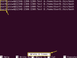 How To Create Multiple Users In Linux 2 Methods Linuxsimply