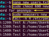 How To Create Multiple Users In Linux 2 Methods Linuxsimply