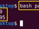 How To Use Bash Input Parameter 5 Practical Cases