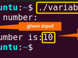 What Is Echo Command In Bash With 3 Practical Examples