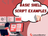 Basic Shell Script Examples Free Downloads