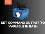 How To Set Command Output To Variable In Bash 2 Methods