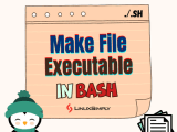 How To Make A File Executable In Bash 2 Methods